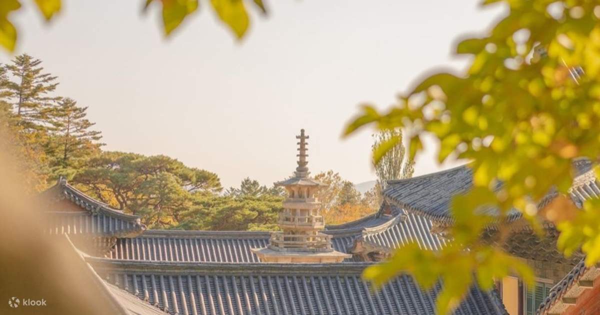 Visite guidée privée de Gyeongju en van pour 7 personnes maximum - Klook États-Unis